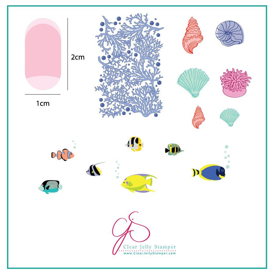 Clear Jelly Stamper - Suzie's Tropical Fish – DK BEAUTY